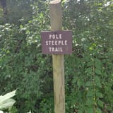 Pole Steeple Trail, Pennsylvania - 946 Reviews, Map | AllTrails