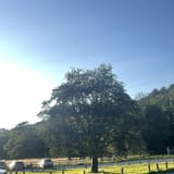 Banstead Woods Nature Circular, Surrey, England - 703 Reviews, Map ...