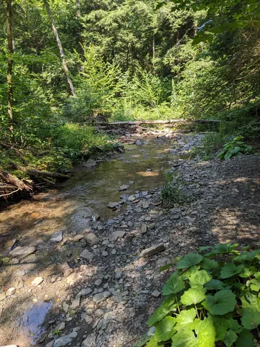 Best Hikes and Trails in Hoxie Gorge State Forest | AllTrails