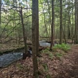 Tekoa Mountain and Westfield Reservoir, Massachusetts - 166 Reviews ...