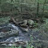 Tekoa Mountain and Westfield Reservoir, Massachusetts - 166 Reviews ...