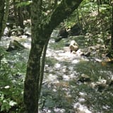 Tekoa Mountain and Westfield Reservoir, Massachusetts - 166 Reviews ...