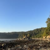 Rialto Beach Trail, Washington - 349 Reviews, Map | AllTrails