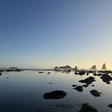 Rialto Beach Trail, Washington - 349 Reviews, Map | AllTrails