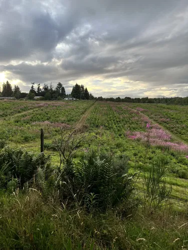 2023 Best 10 Trails, Walks, and Paths in Inverness | AllTrails