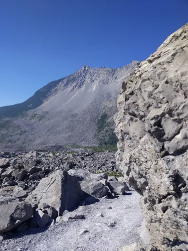 Frank Slide Interpretive Center: de beste routes om te wandelen | AllTrails