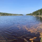 Mount Nancy via Nancy Pond Trail, New Hampshire - 202 Reviews, Map ...