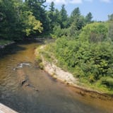 Boardman/Ottaway River Trail, Michigan - 244 Reviews, Map | AllTrails