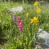 Hope Lake Trail, Colorado - 1,243 Reviews, Map | AllTrails