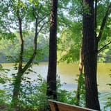 Lake Pine Loop, North Carolina - 1,014 Reviews, Map | AllTrails