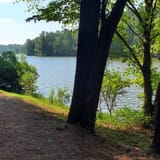 Lake Pine Loop, North Carolina - 1,014 Reviews, Map | AllTrails