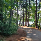 Lake Pine Loop, North Carolina - 1,014 Reviews, Map | AllTrails