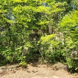 Busch Wildlife Biking-Hiking Trail, Missouri - 728 Reviews, Map | AllTrails