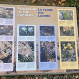 Tablelands Trail, Newfoundland and Labrador, Canada - 726 Reviews, Map ...