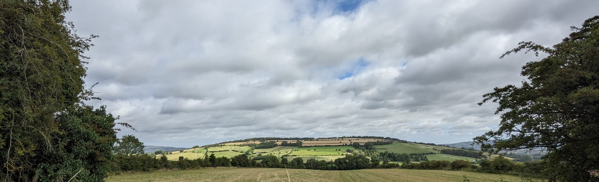 Cleeve Hill Circular, Gloucestershire, England - 231 Reviews, Map ...