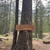 Chief Joseph Mountain Trail, Oregon - 295 Reviews, Map | AllTrails