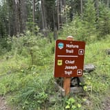 Chief Joseph Mountain Trail, Oregon - 394 Reviews, Map | AllTrails