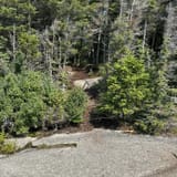 Mount Cabot Loop, New Hampshire - 837 Reviews, Map | AllTrails