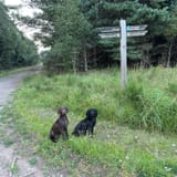 Tentsmuir Forest Circular, Fife, Scotland - 59 Reviews, Map | AllTrails