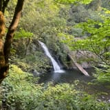 Beaver Falls, Washington - 267 Reviews, Map | AllTrails