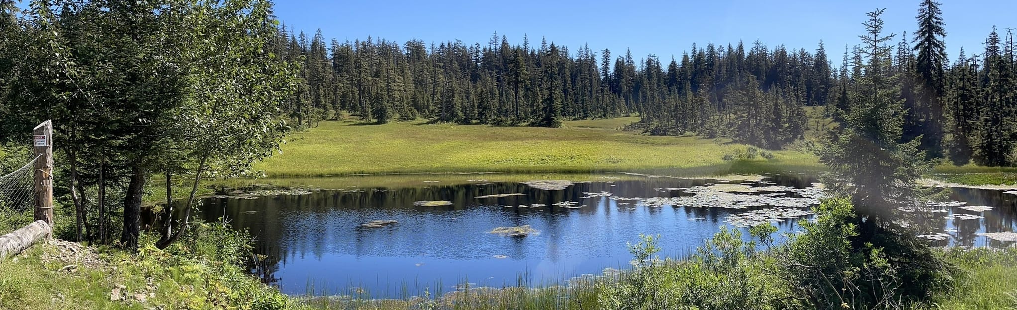 Hidden Lake Loop, Alaska - 20 Reviews, Map | AllTrails