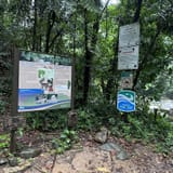 Angelito Trail, East Region, Puerto Rico - 527 Reviews, Map | AllTrails