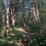 Dover Community Trail, New Hampshire - 437 Reviews, Map | AllTrails