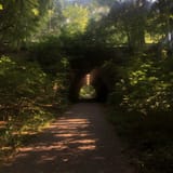 Dover Community Trail, New Hampshire - 437 Reviews, Map | AllTrails
