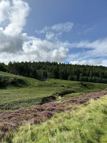 Best Camping Trails in Wooler | AllTrails