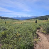 Shrine Ridge Trail, Colorado - 3,145 Reviews, Map | AllTrails