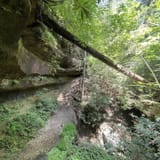 Silvermine Arch via Rough Trail, Kentucky - 120 Reviews, Map | AllTrails