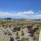 Presidio Loop Trail, California - 1,439 Reviews, Map | AllTrails