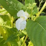 Presidio Loop Trail, California - 1,249 Reviews, Map | AllTrails