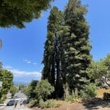 Presidio Loop Trail, California - 1,439 Reviews, Map | AllTrails