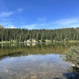 Forest Lakes Trail, Colorado - 778 Reviews, Map | AllTrails