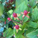 Presidio Loop Trail, California - 1,289 Reviews, Map | AllTrails