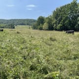 Virginia's Triple Crown Loop, Virginia - 695 Reviews, Map | AllTrails