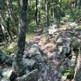 Virginia's Triple Crown Loop, Virginia - 695 Reviews, Map | AllTrails