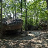 Pigeon Mountain via Rocktown Trail, Georgia - 191 Reviews, Map | AllTrails