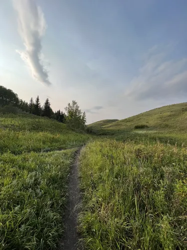 10 Best Trails and Hikes in Calgary | AllTrails