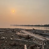 Dungeness Spit Trail, Washington - 1,472 Reviews, Map | AllTrails