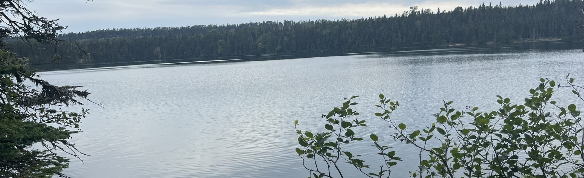 Suzy’s Cave Trail, Michigan - 98 Reviews, Map | AllTrails