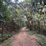 Aquila Loop, Queensland, Australia - 140 Reviews, Map | AllTrails