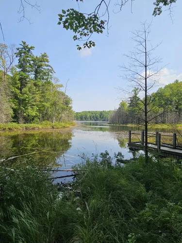 Ransom Lake Natural Area: de beste routes om te wandelen | AllTrails