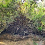 Bayocean Peninsula, Oregon - 694 Reviews, Map | AllTrails