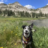 The Copper Creek Trail to Copper Lake, Colorado - 620 Reviews, Map ...