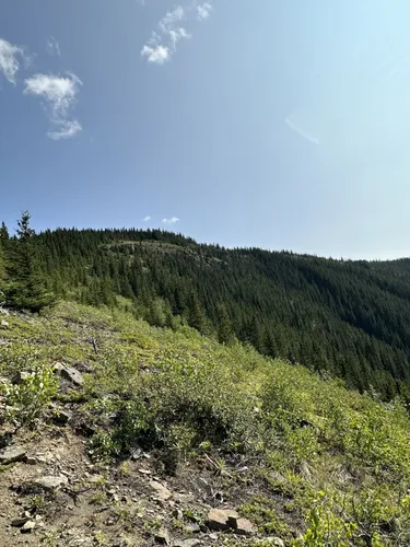Best Hikes and Trails in Two Lakes Provincial Park | AllTrails