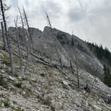 Turtle Mountain Trail, Alberta, Canada - 771 Reviews, Map | AllTrails