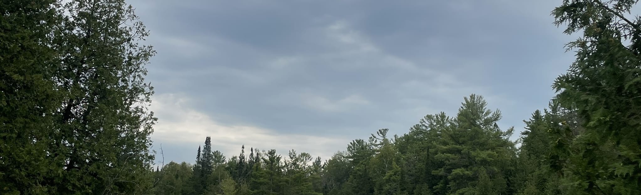 Ken Reid Trails , Ontario, Canada - 325 Reviews, Map | AllTrails