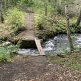 Scout Ridge Trail, Alaska - 280 Reviews, Map | AllTrails